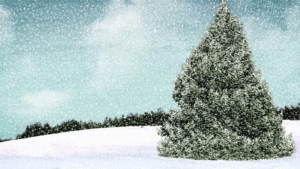 Snow Day Gif - GIFcen