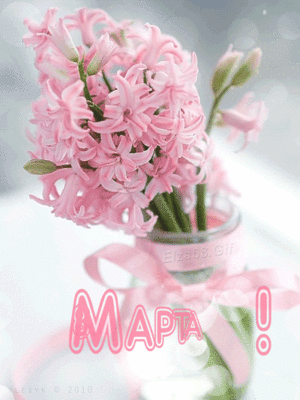 C 8 Mapta Gif - GIFcen