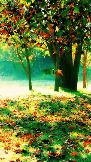 Fall Weather Gif - GIFcen