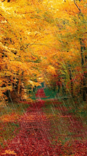 Fall Weather Gif - GIFcen