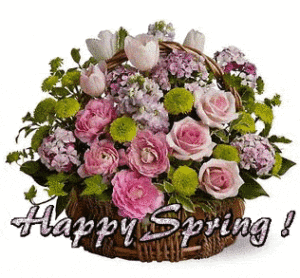 Happy Spring Gif - GIFcen