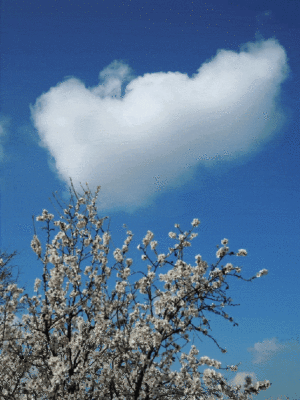 Hemisphere GIFs - GIFcen