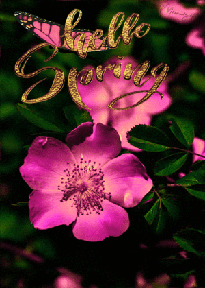 Hello March Gif - GIFcen