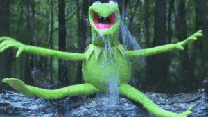 Kermit Gif - GIFcen