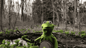 Kermit Gif - GIFcen