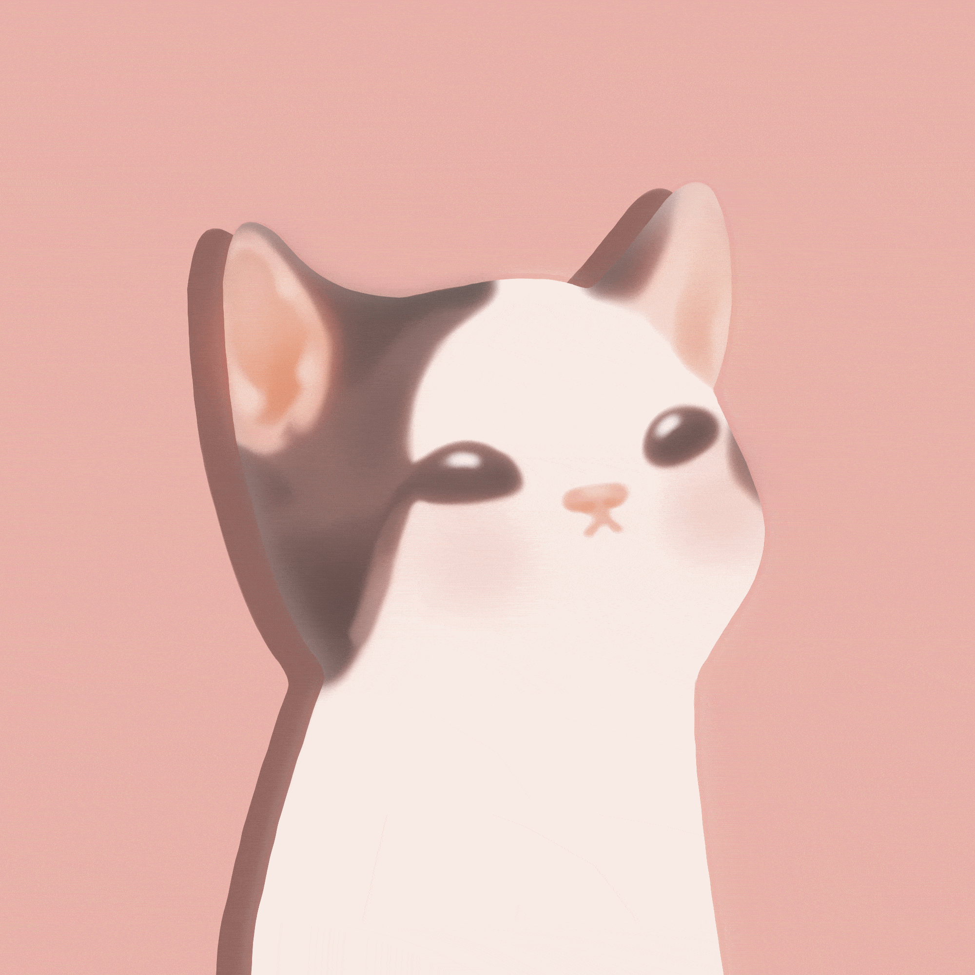 Pop Cat Gif GIFcen Pop Cat Gif GIFcen