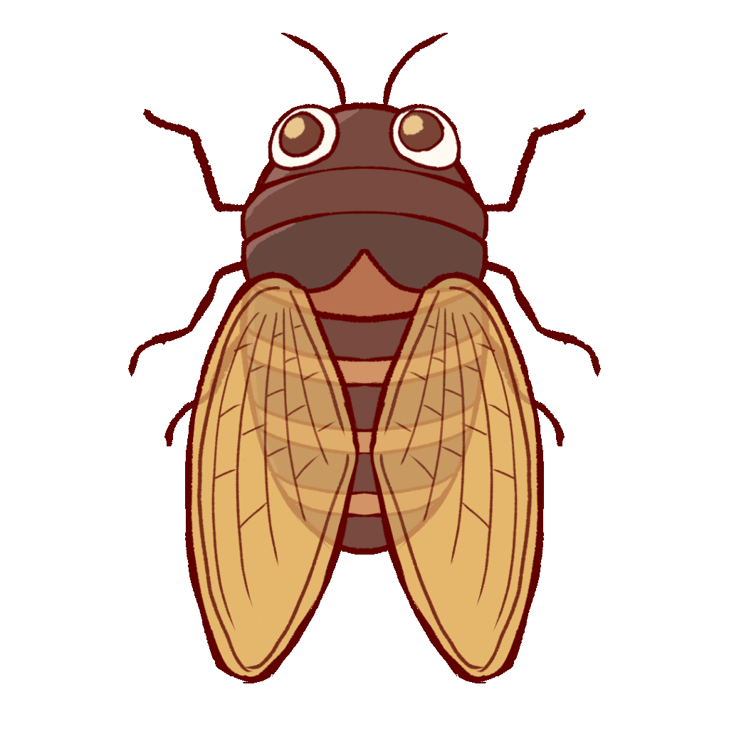 Cicadas Gif - GIFcen