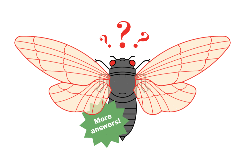 Cicadas Gif - GIFcen