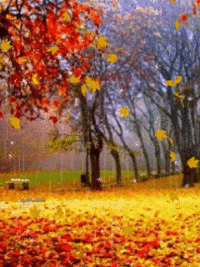 Autumn Gif - GIFcen