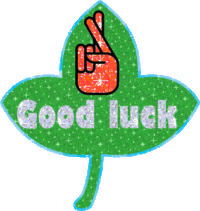 Good Luck Gif - GIFcen